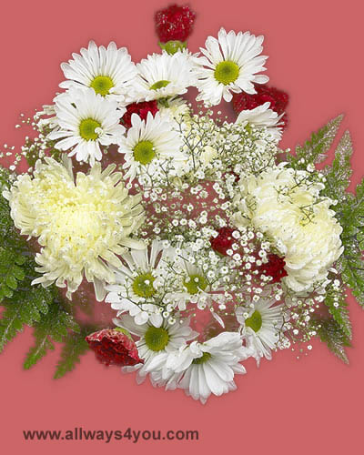 Allways4You: Bouquets North Pole Flowers